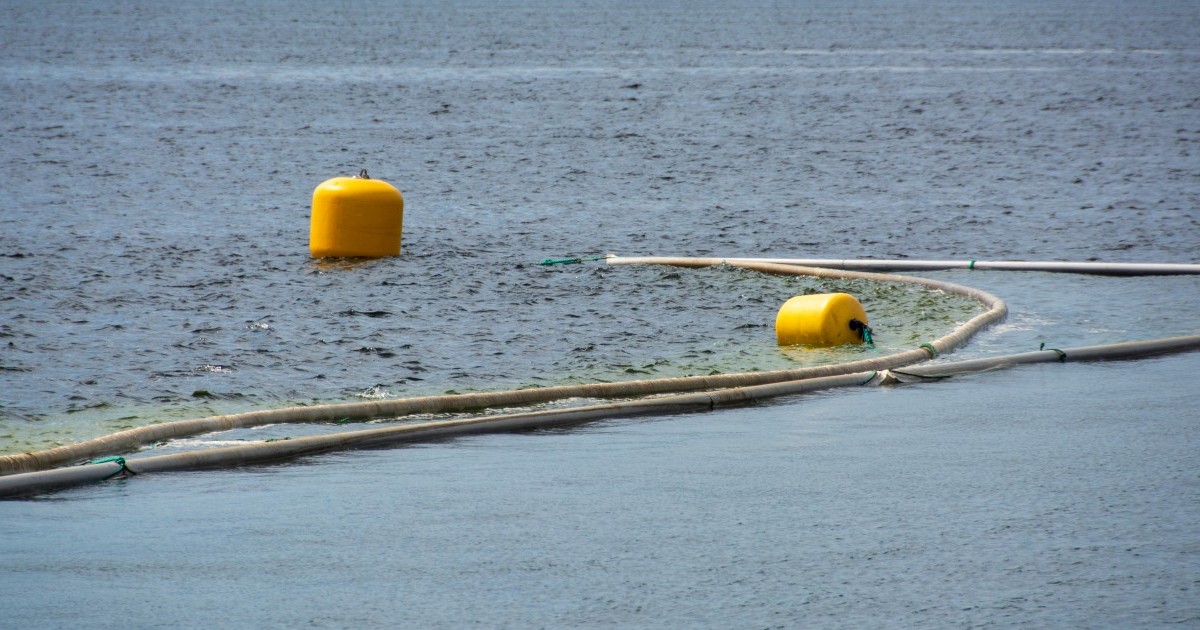 Seeking measures in the sea | Port of Kristiansand
